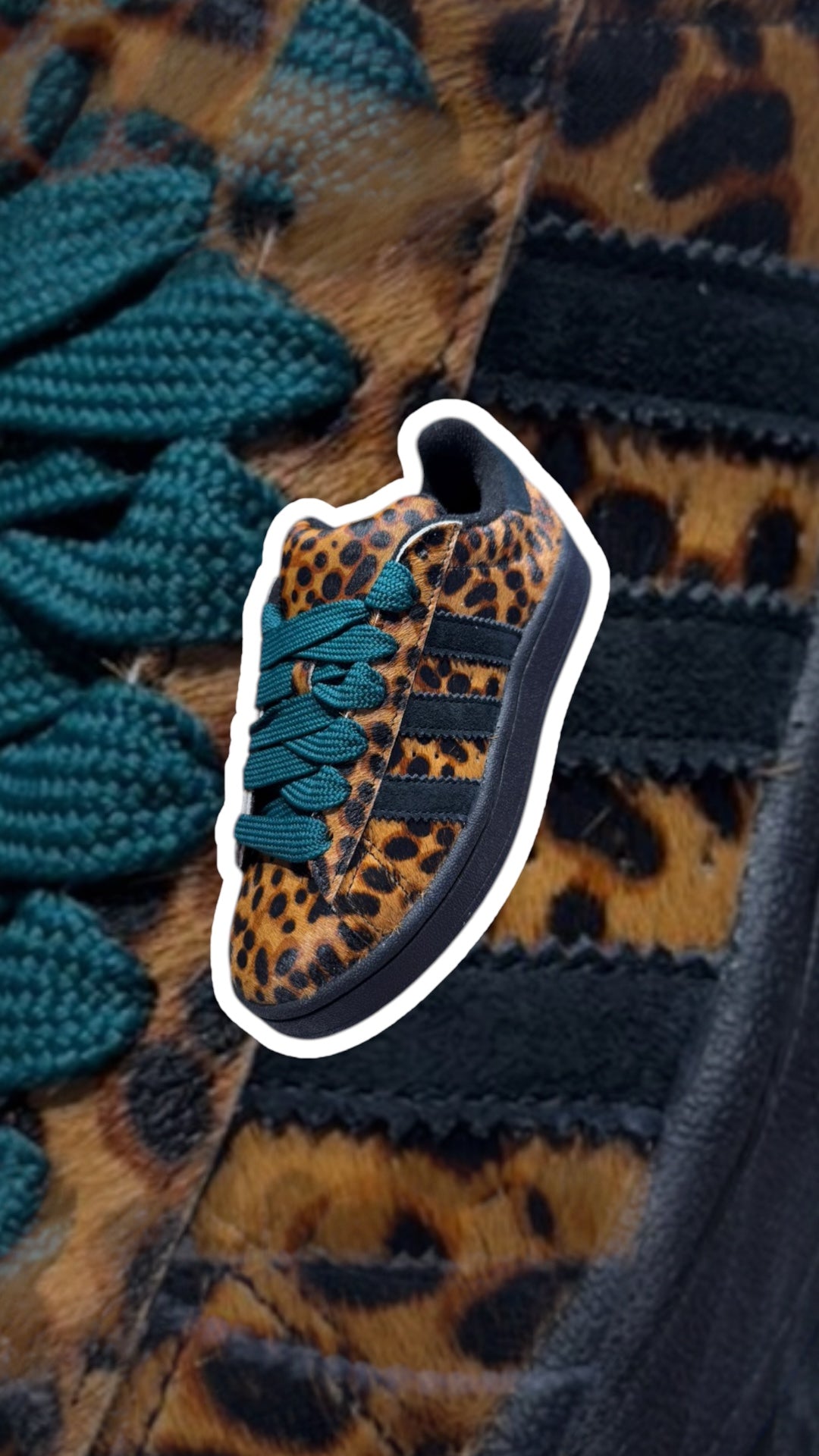 Leopard campus – doubletroublepanama